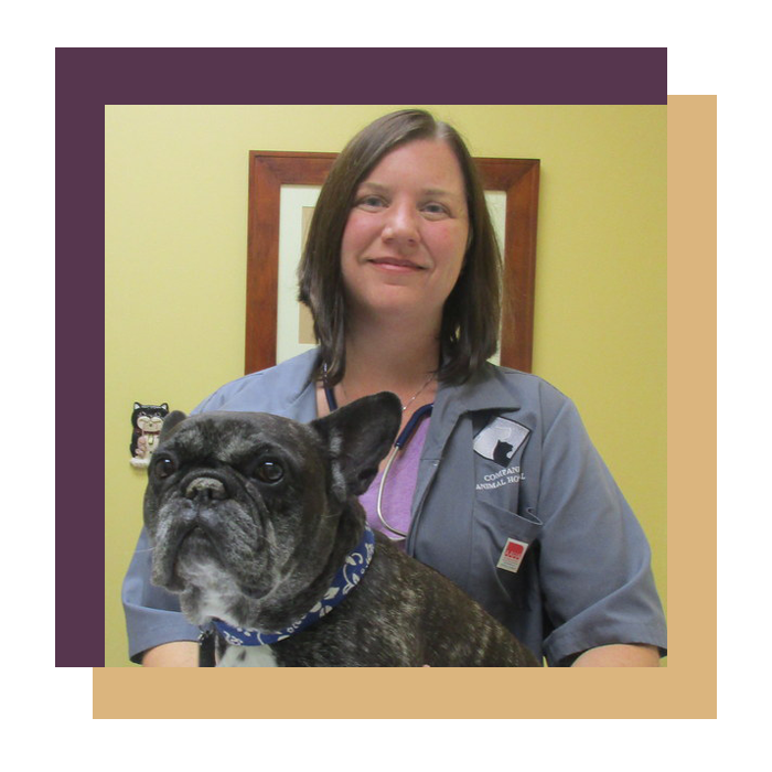 Companion Animal Hospital, Veterinarians in Phenix City, AL