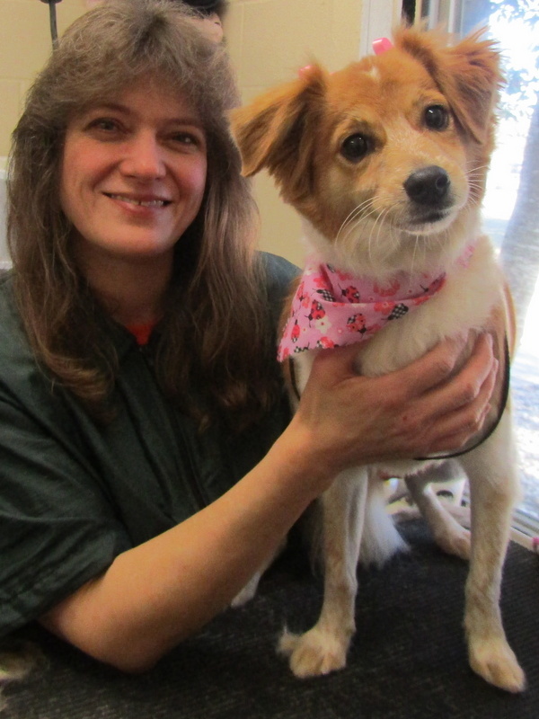 Meet the Care Team at Companion Animal Hospital in Phenix City, AL