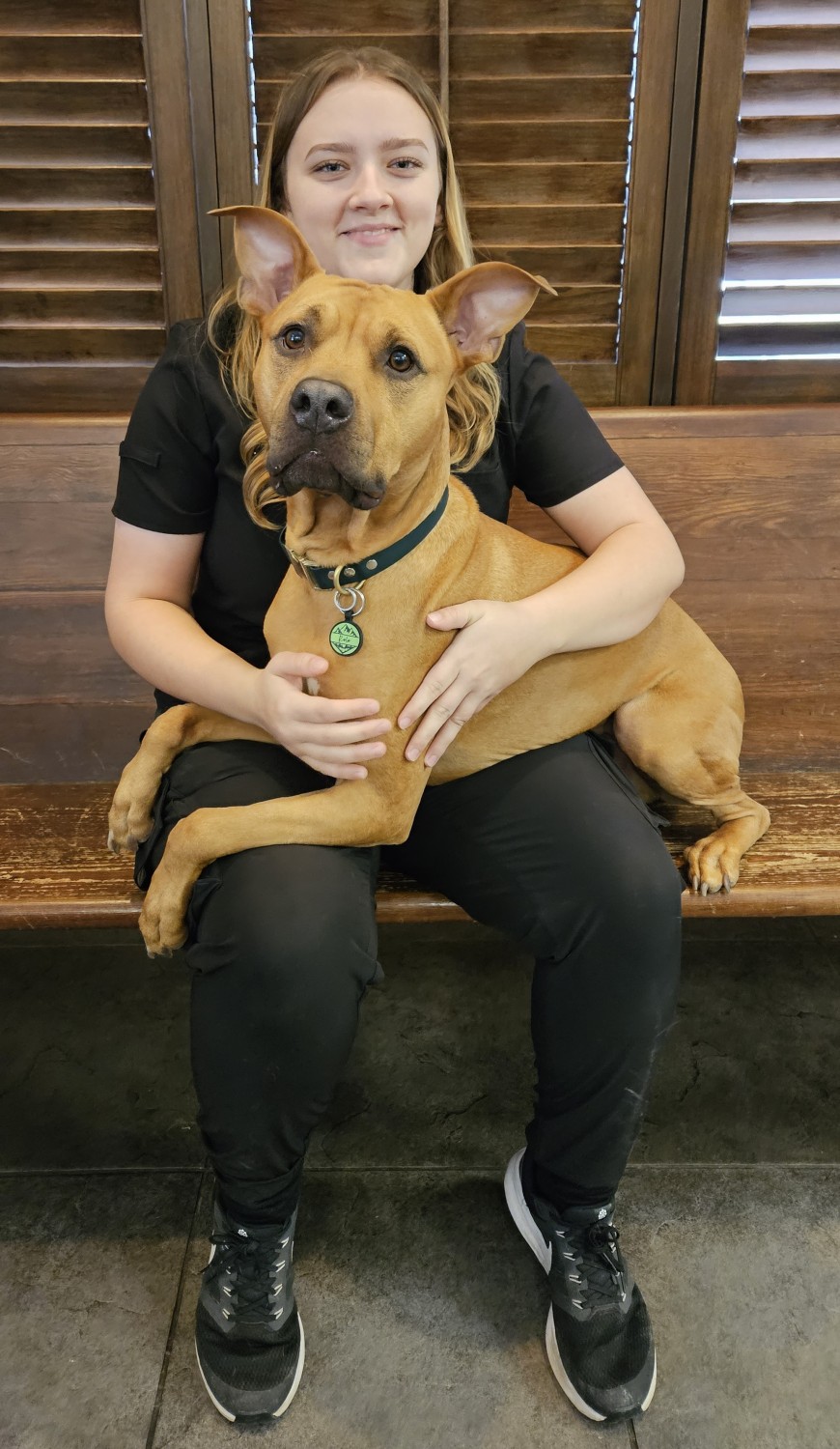 Meet the Care Team at Companion Animal Hospital in Phenix City, AL